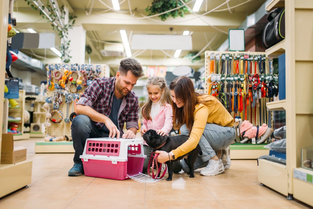 Pet ID Tag QR Code: Guide for Pet Shop Owners to Sell QR Code Tags ...