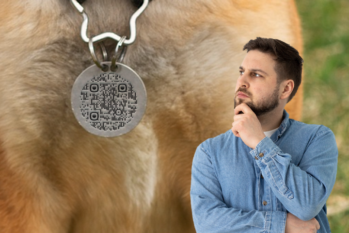 Lost and Found: The Role of QR Code Tags for Dogs